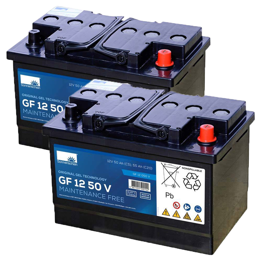 Akku-Satz 24V 50Ah für Taski Swingo 455 B - Schulte Akkushop